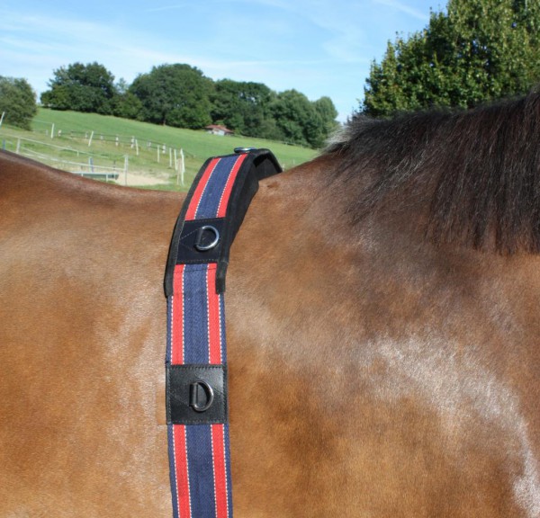 Chambrière – E. Muller, Equipement Equestre